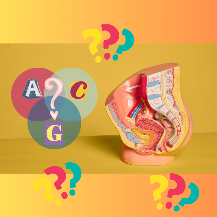 Discover the A-Spot and C-Spot for Ultimate Pleasure